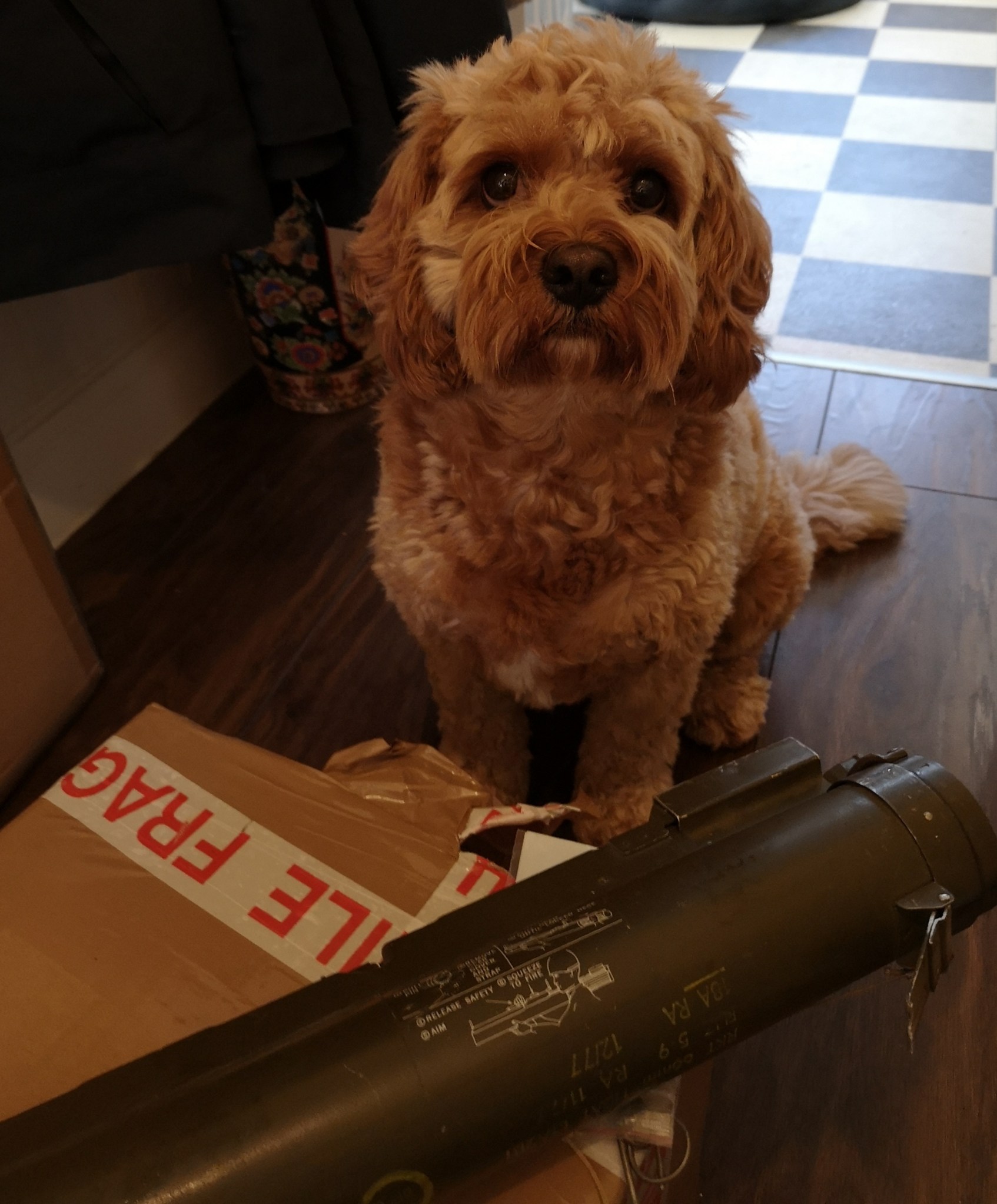 Black Friday Hit Different This Year – The Armourers Bench