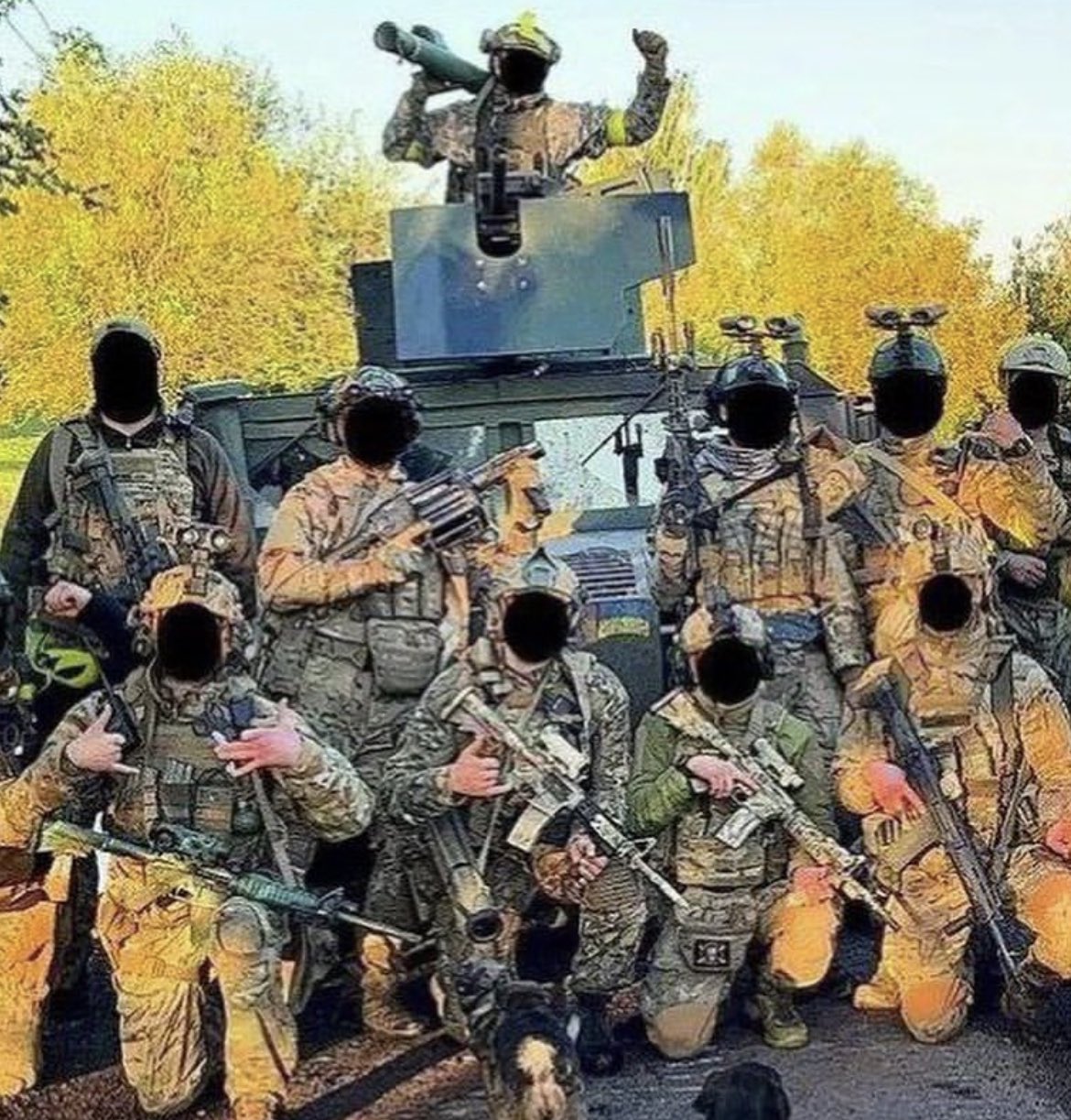 Colt Canada / Diemaco C7 Rifles & C8 Carbines in Ukraine – The ...