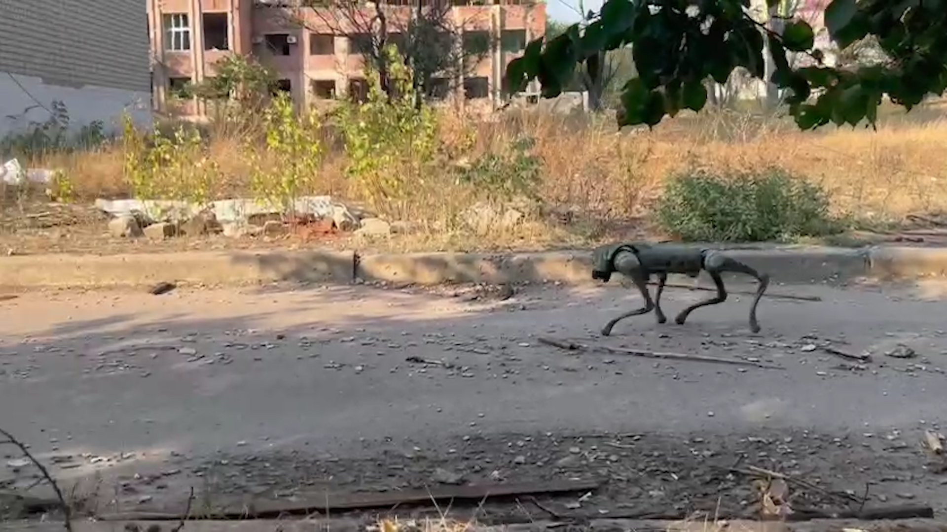 Who Let the Dogs Out: Robot Dogs in Ukraine – The Armourers Bench